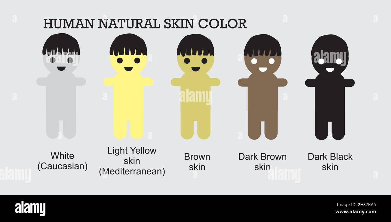 Human skin school poster hi-res stock photography and images - Alamy