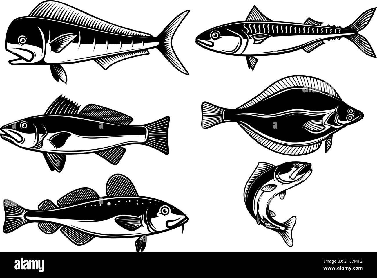 Set of illustrations of sea fish isolated on white background. Design ...