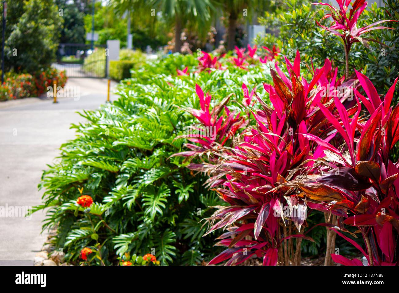 Various garden scenes from around the marina - contrasting plant ...
