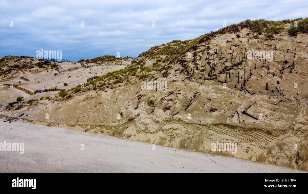Collapsing sand dune, Authie Bay, Pas-de-Calais, North-Western France ...