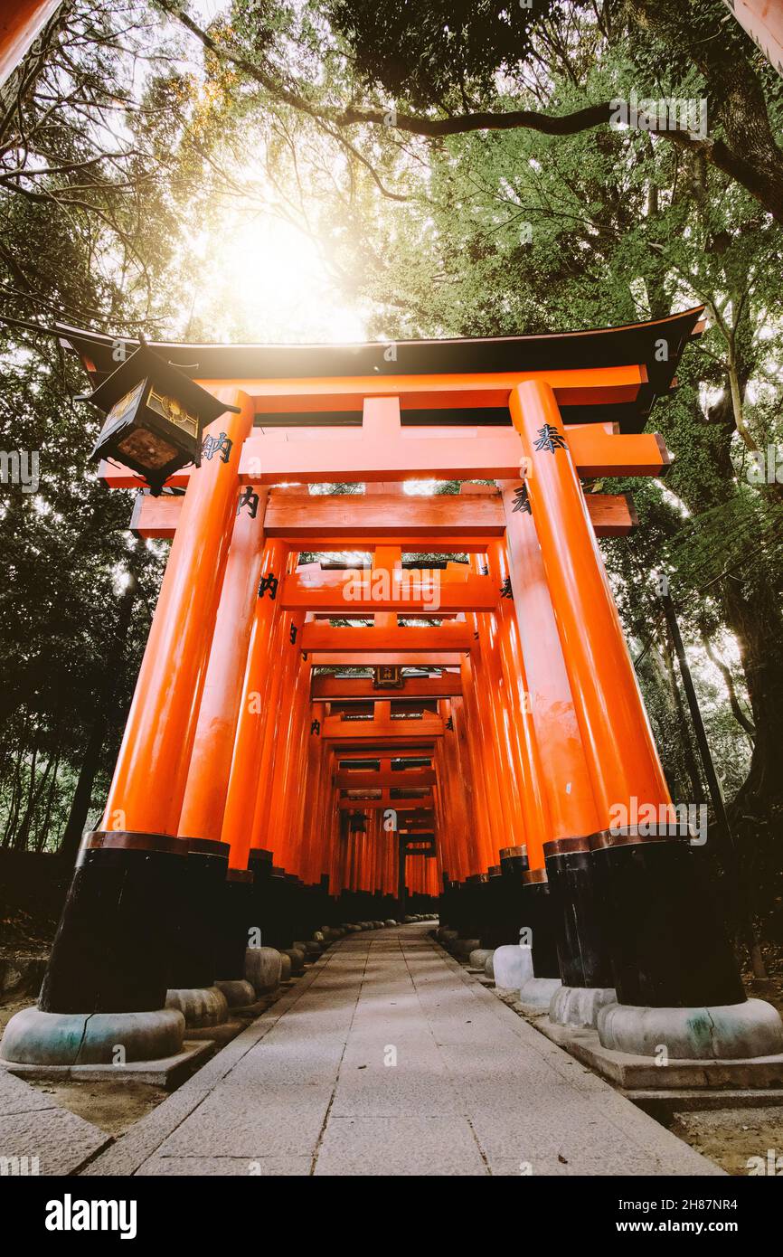 buA vertical shot of the building Fushimi Inari Taisha in Kyoto, Japan ...