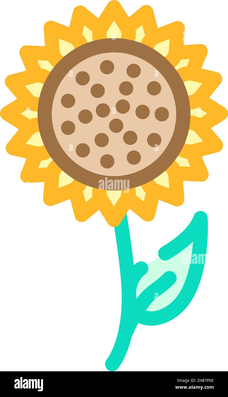 sunflower flower color icon vector illustration Stock Vector Image ...