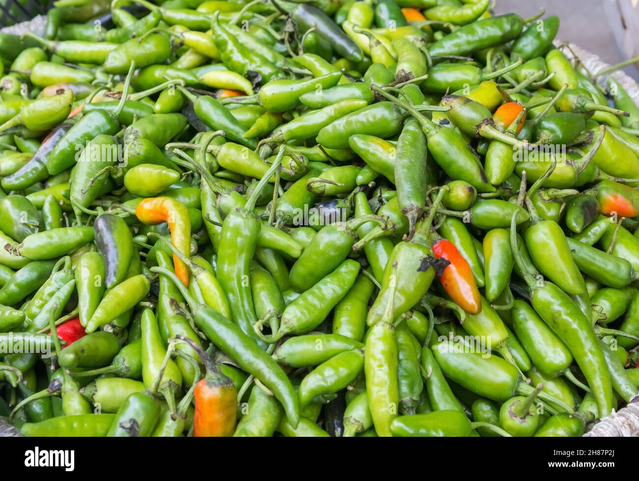 Chilli pepper nepal spice hi-res stock photography and images - Alamy