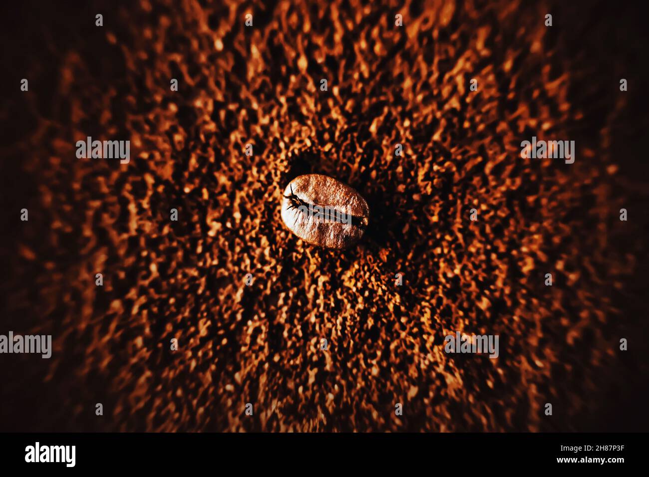 One roasted coffee bean, illuminated by light, lies on a crumbly ground ...