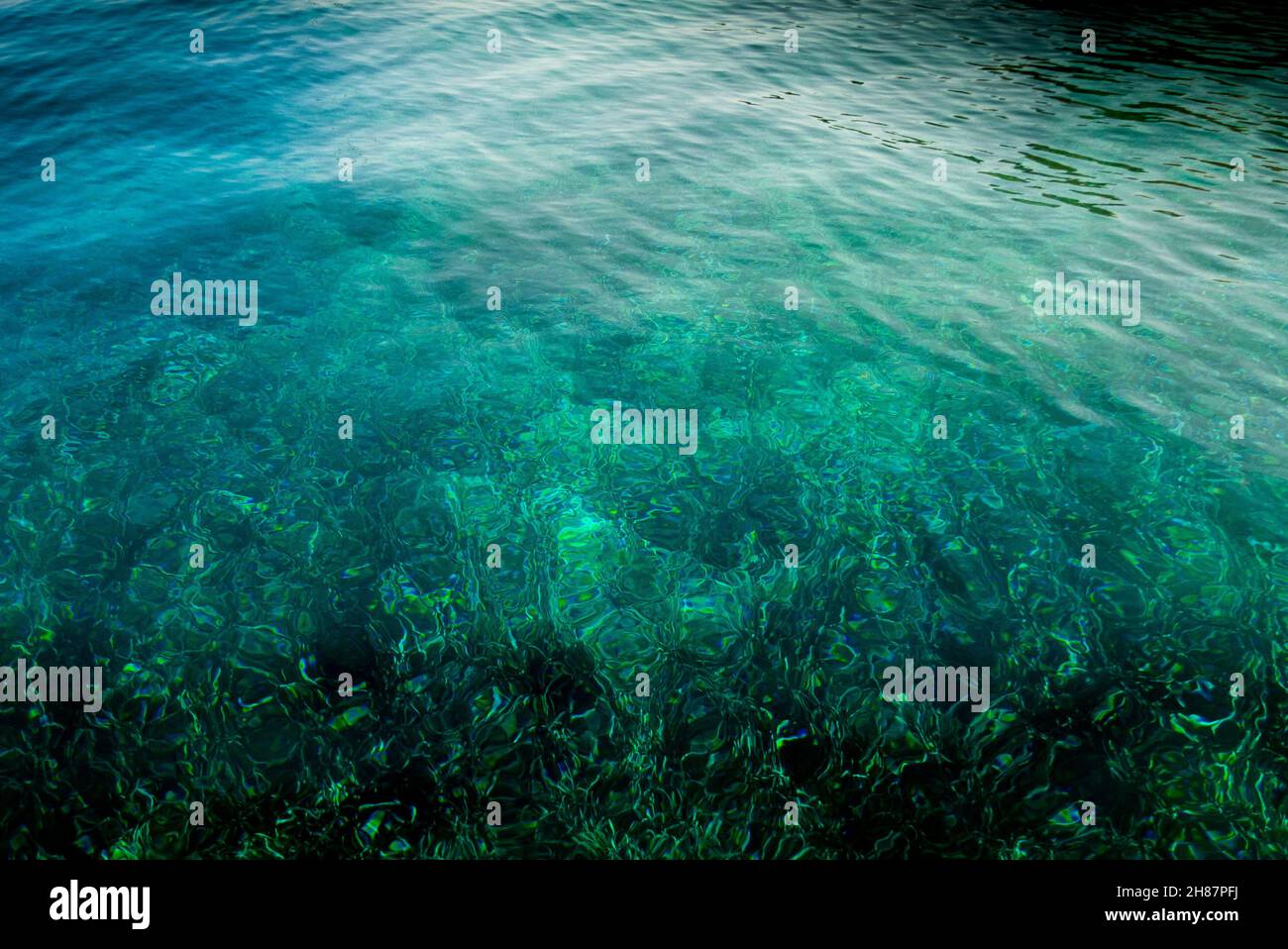 A closeup shot of the beautiful clear and clean sea with coral reef ...