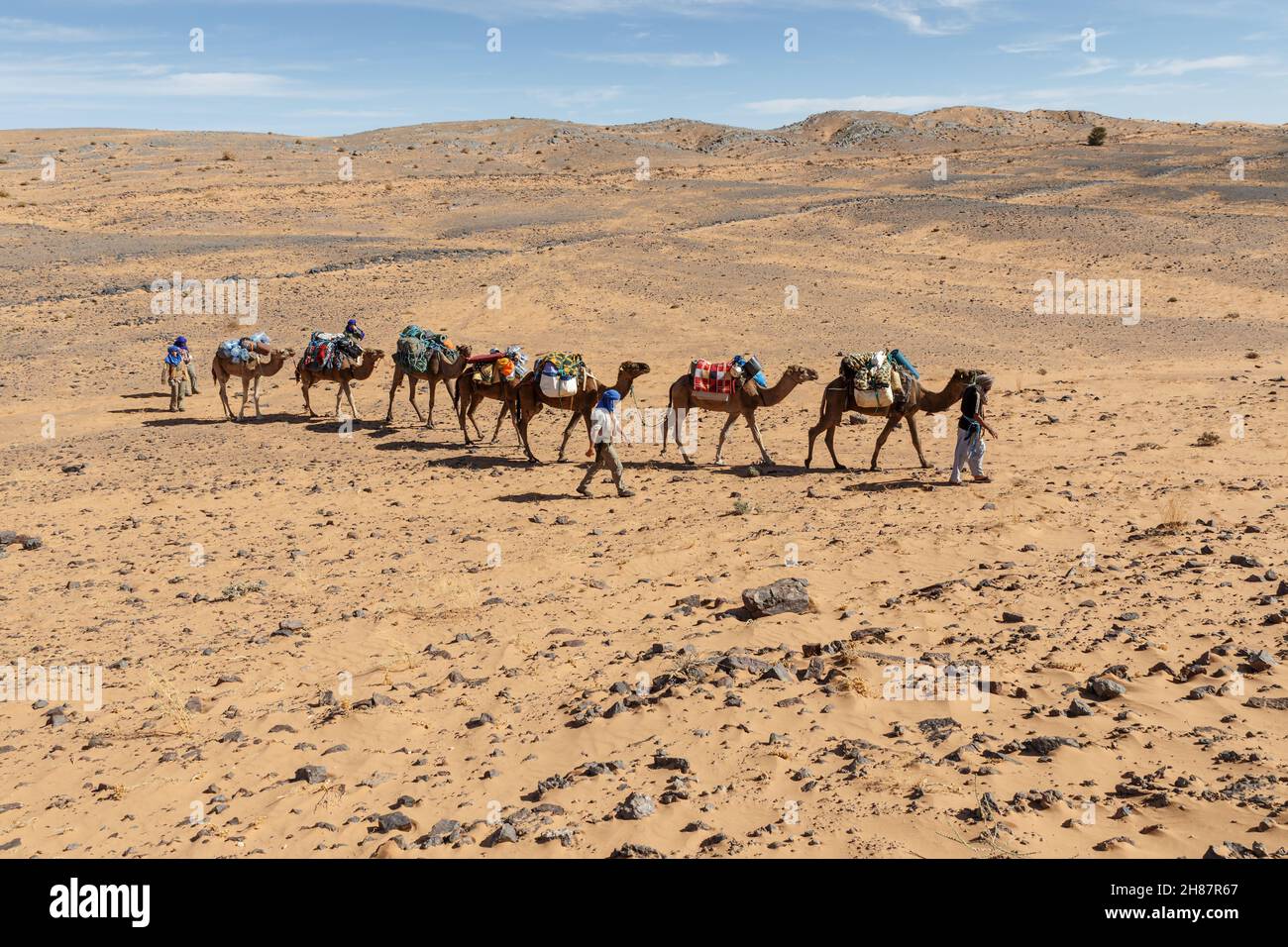 Tuareg caravan hi-res stock photography and images - Alamy