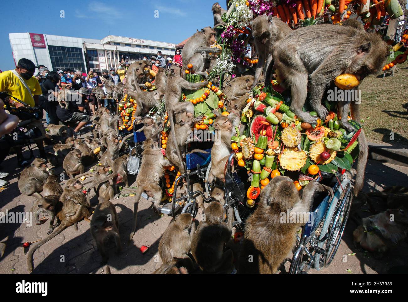 Monkeys are seen eating fruits and vegetables during the 33rd annual ...