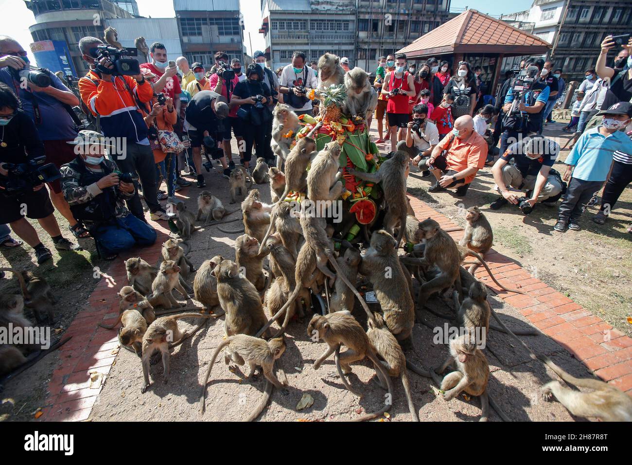 Monkeys are seen eating fruits and vegetables during the 33rd annual ...