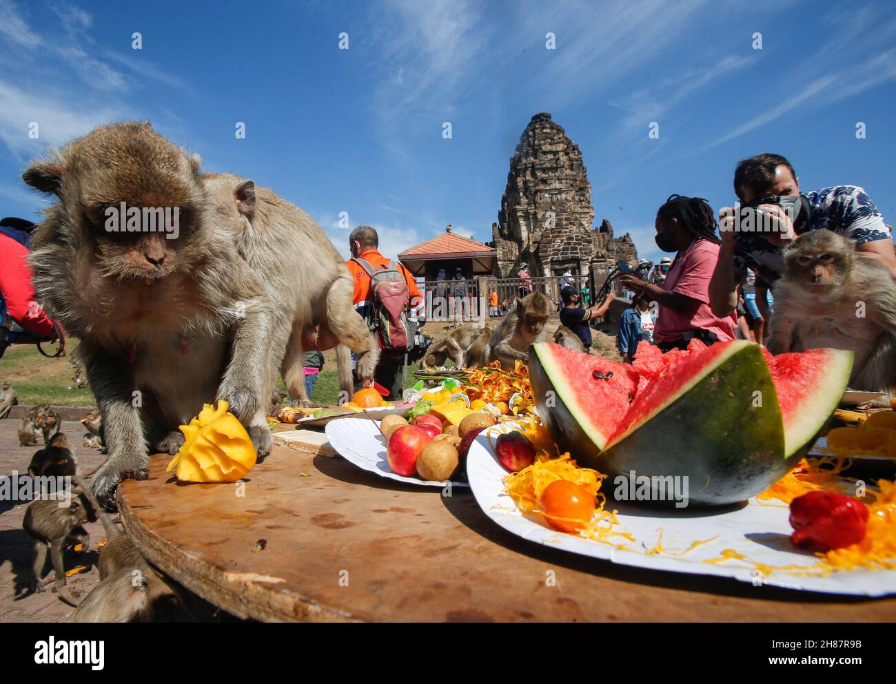 Monkeys are seen eating fruits and vegetables during the 33rd annual ...