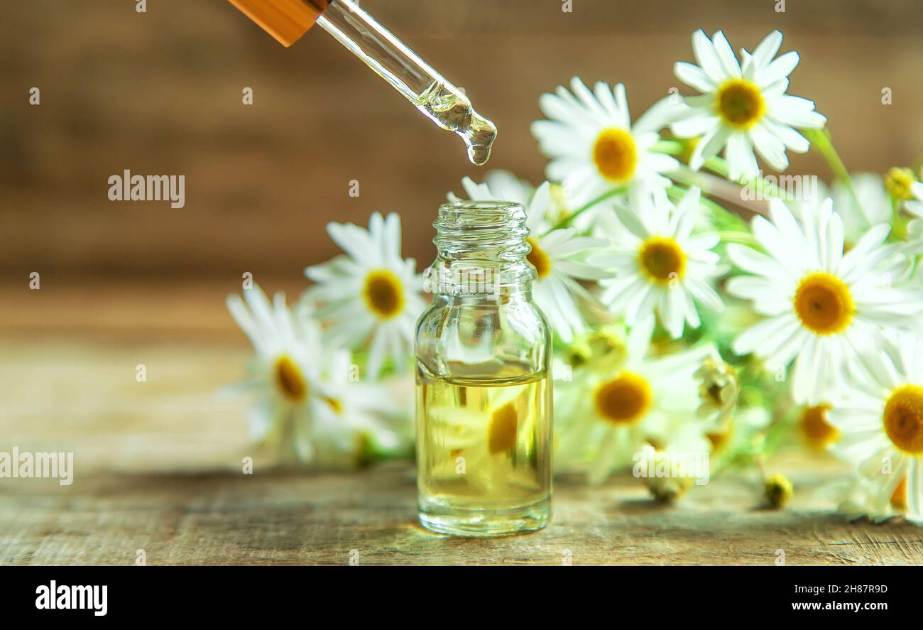 Chamomile extract in small hi-res stock photography and images - Alamy
