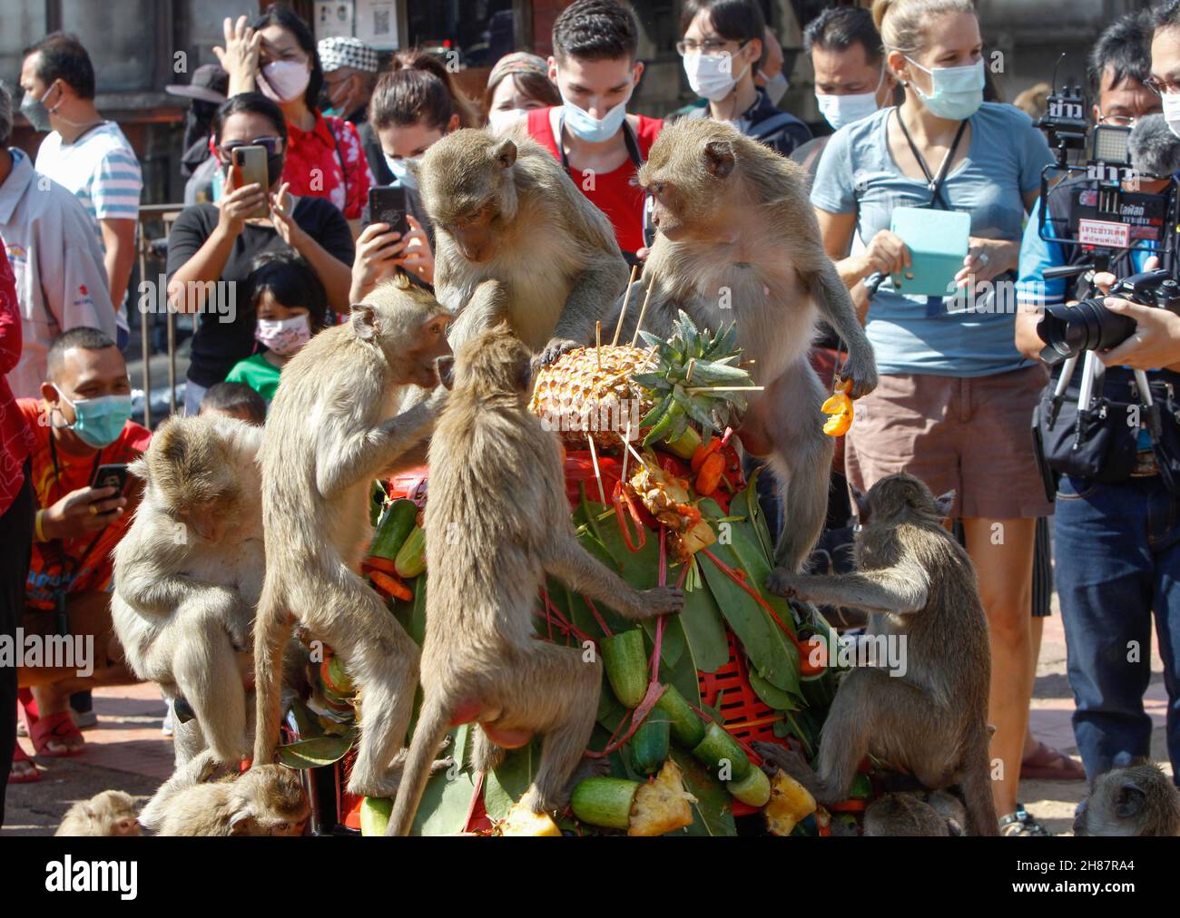 Monkeys are seen eating fruits and vegetables during the 33rd annual ...