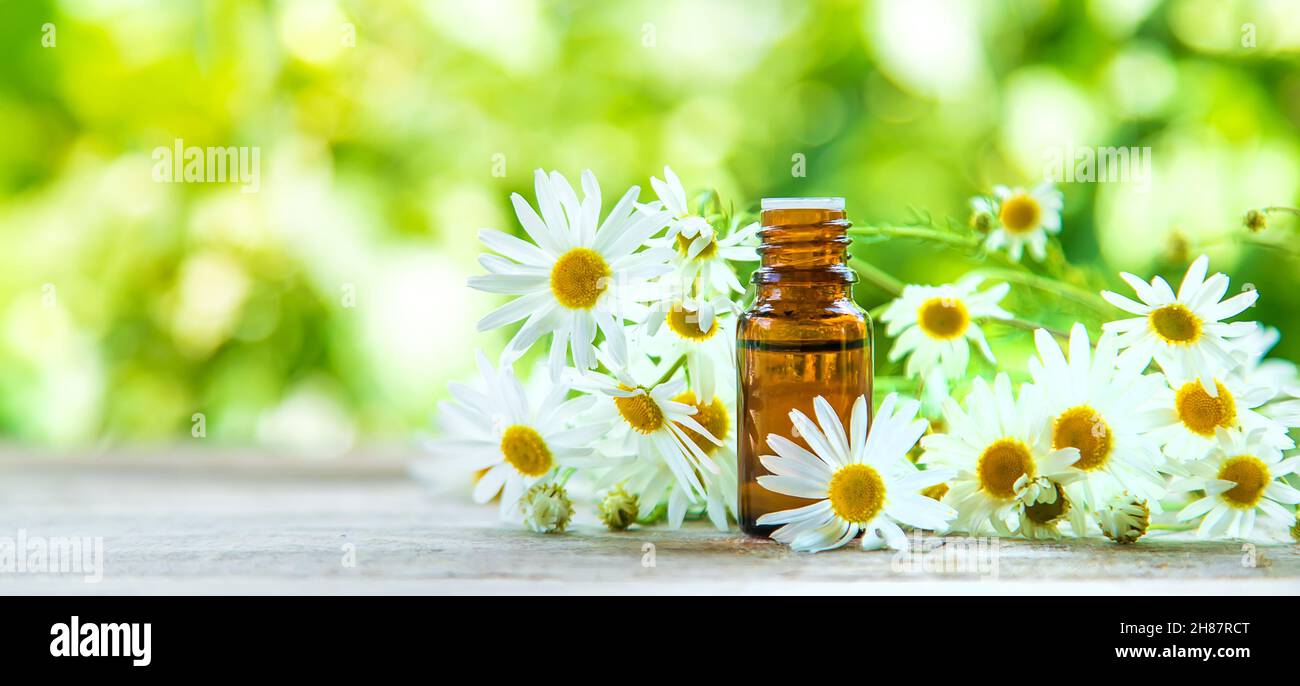 Chamomile extract in small hi-res stock photography and images - Alamy