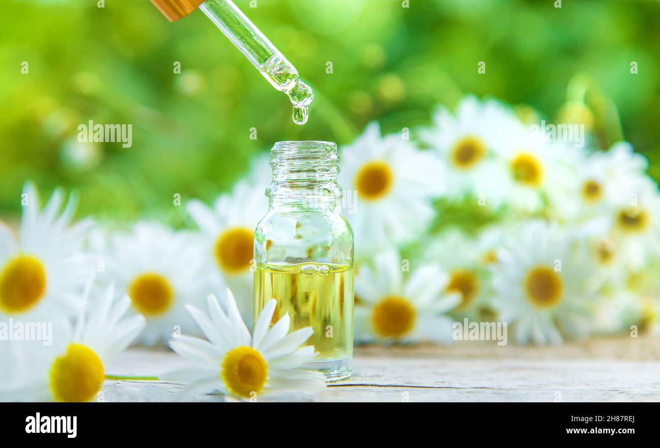Chamomile extract in small hi-res stock photography and images - Alamy