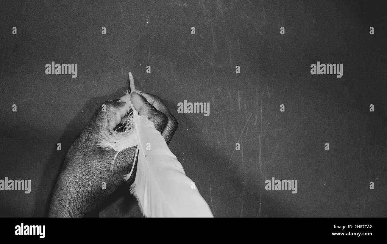 Hand white feather hi-res stock photography and images - Alamy