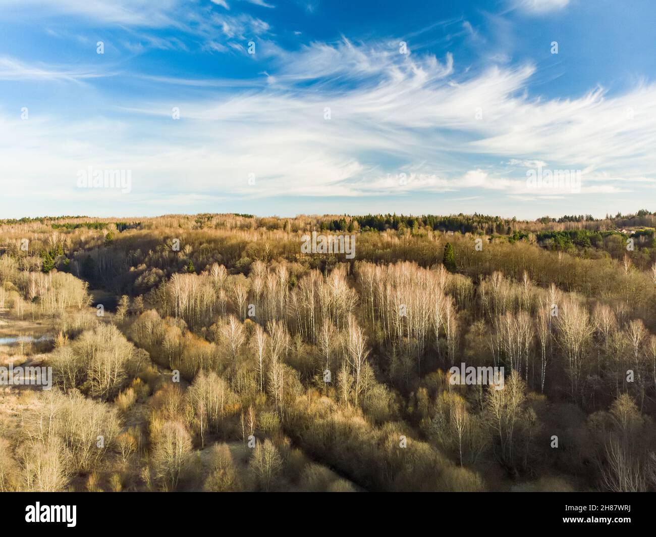Aerial view of lake coast overgrown with sedge and dry grass. Warm ...