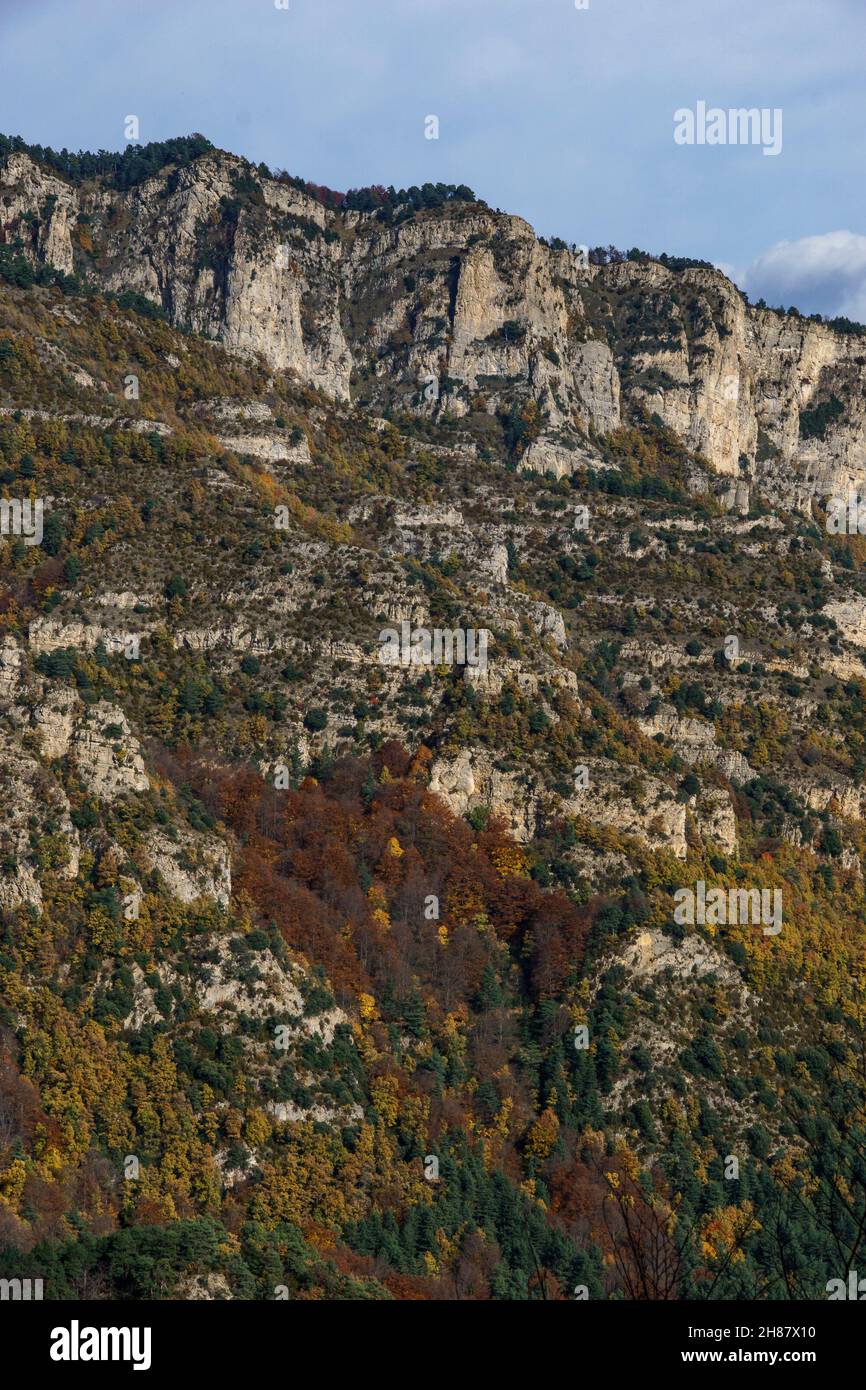 Colorful fall trees Stock Photo - Alamy