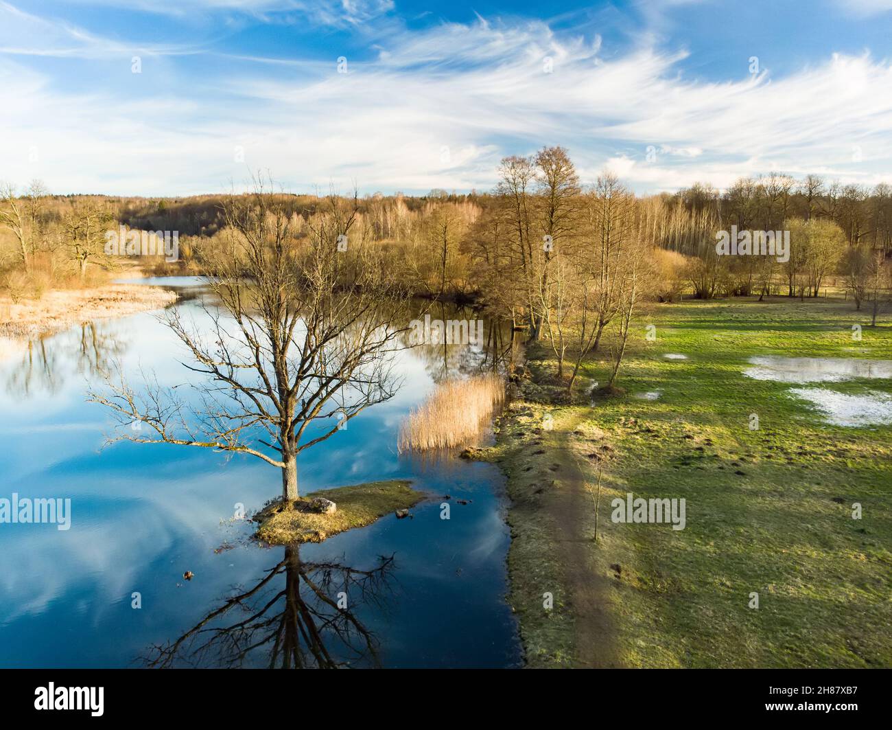 Aerial view of lake coast overgrown with sedge and dry grass. Warm ...