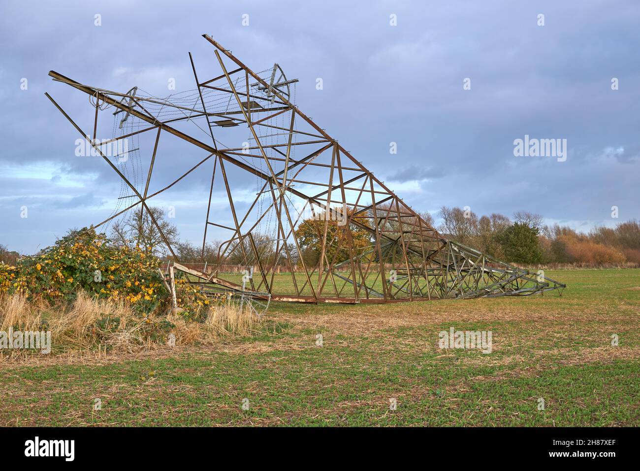 Old obsolete electricity pylon cut down in a field Stock Photo - Alamy
