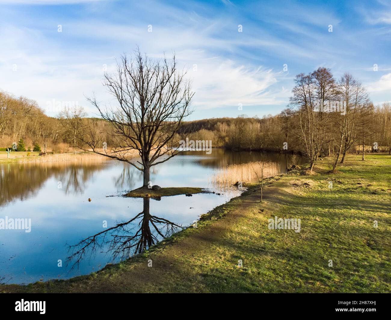 Aerial view of lake coast overgrown with sedge and dry grass. Warm ...