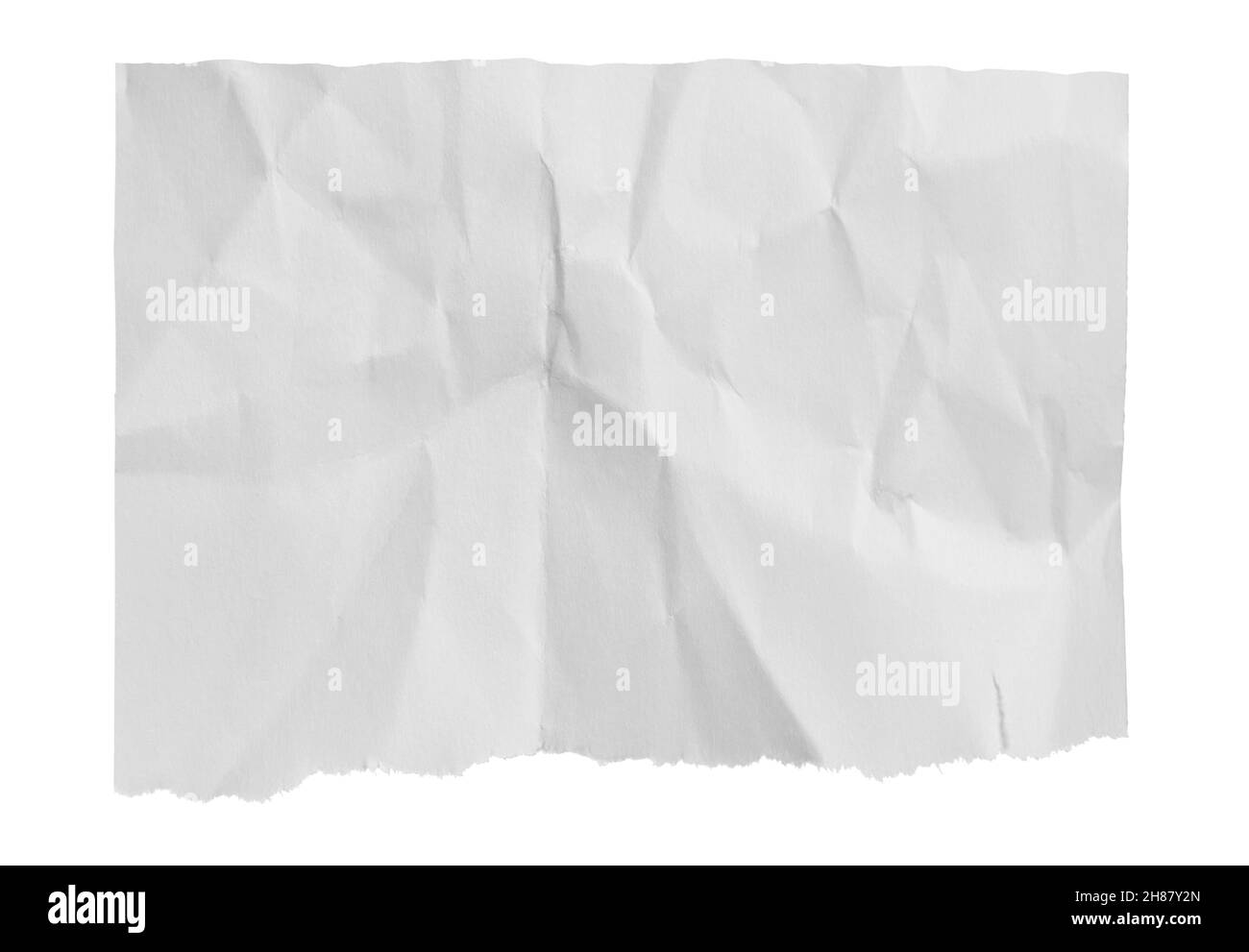 collection of white ripped pieces of paper on white background. each ...