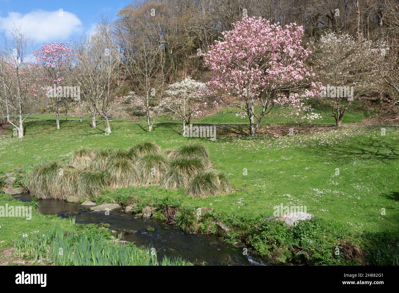 River in a park at the beginning of spring Stock Photo - Alamy