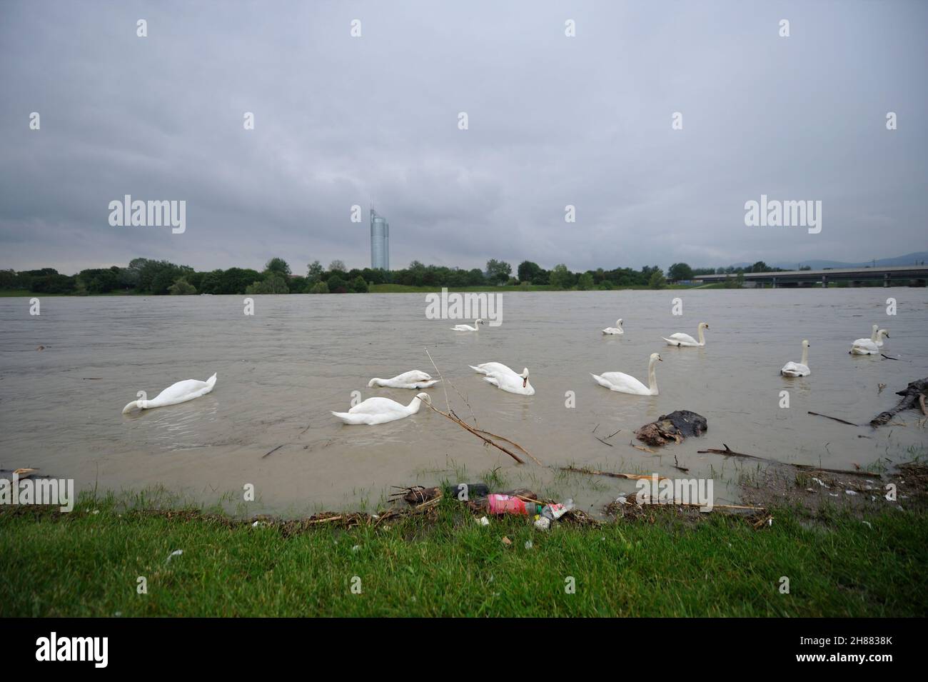 Vienna, Austria. June 5th, 2013. Flood in Vienna. On the night of June ...