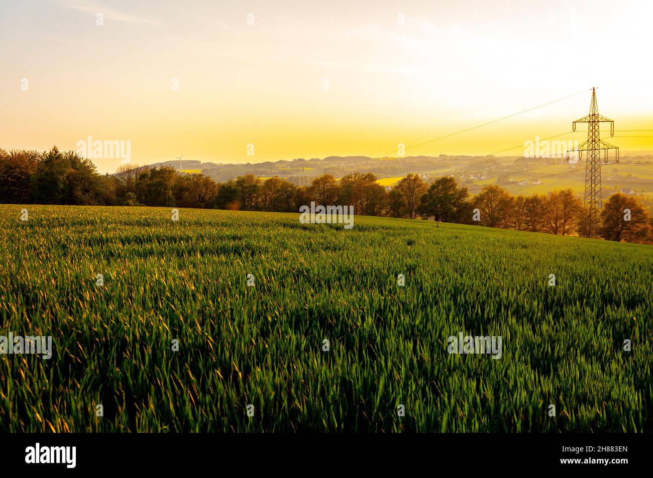 Beautiful and peaceful field with electrical transmitters during sunny ...