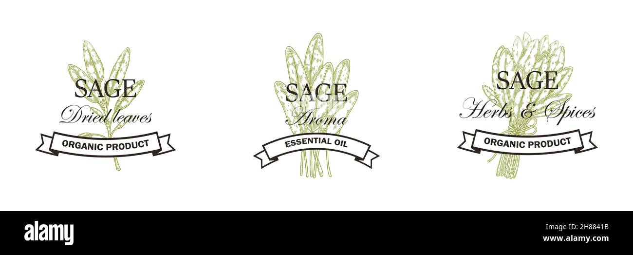 Set of hand drawn sage logo designs. Vector illustration in sketch ...