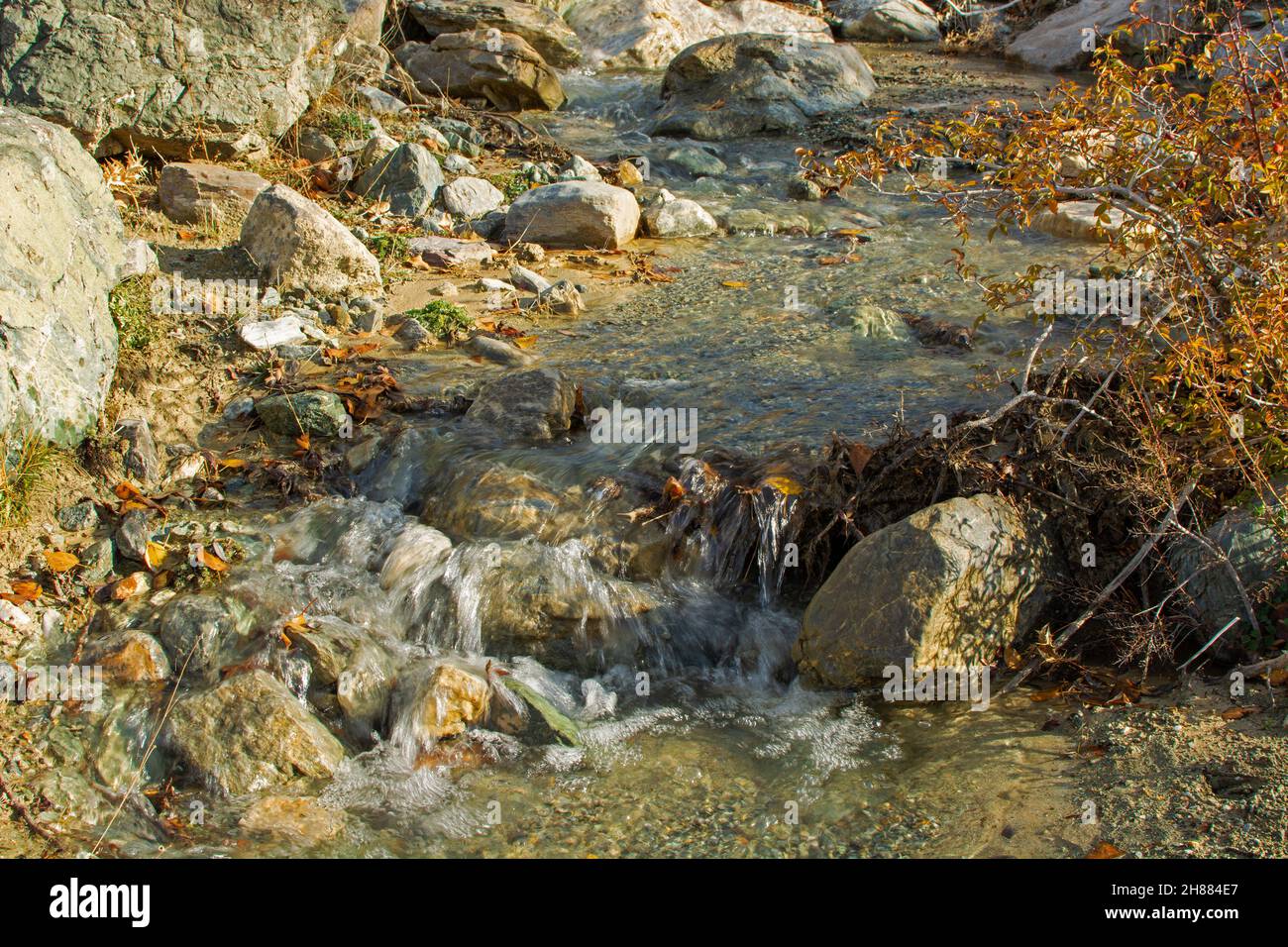 Stream body of water hi-res stock photography and images - Alamy