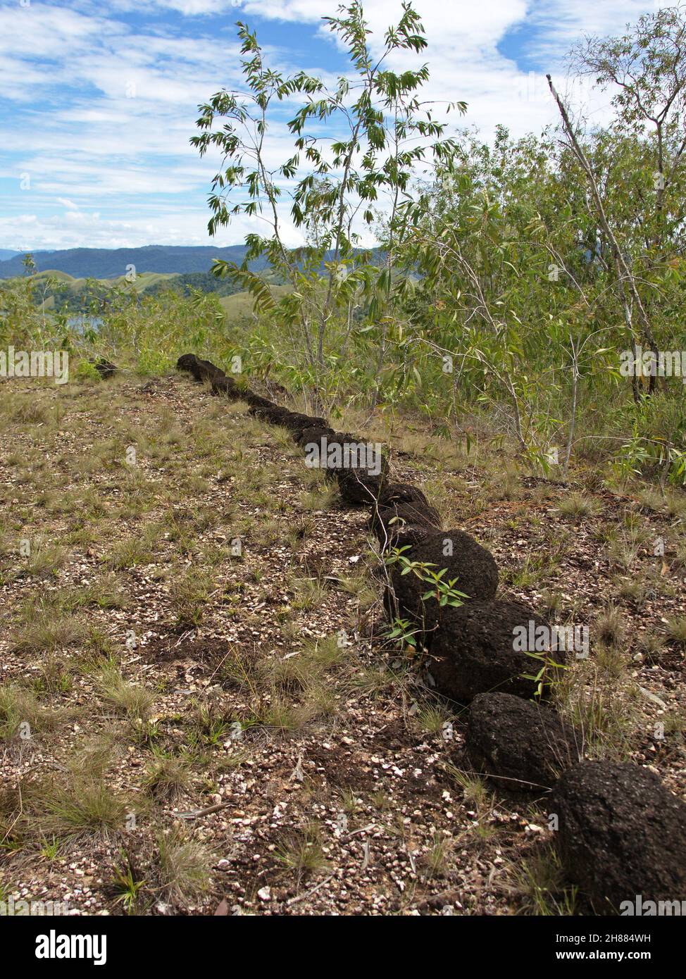 Situs Megalitik Bukit Tutari, Jayapura, Papua, Indonesia Stock Photo ...