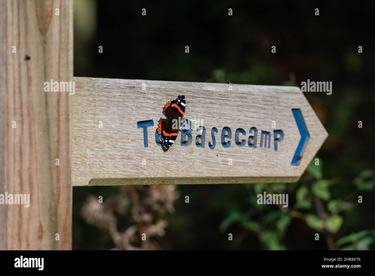 Fingerpost sign hi-res stock photography and images - Alamy