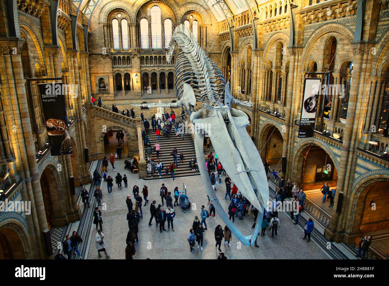 The crowded Natural History Museum in London, United Kingdom Stock ...