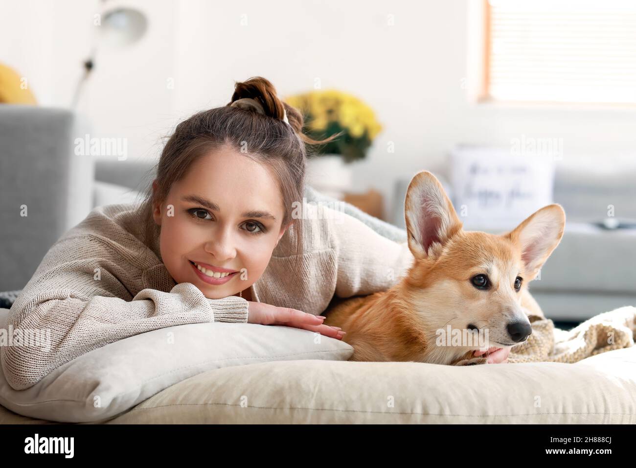 Young woman with cute Corgi dog lying on pouf at home Stock Photo - Alamy