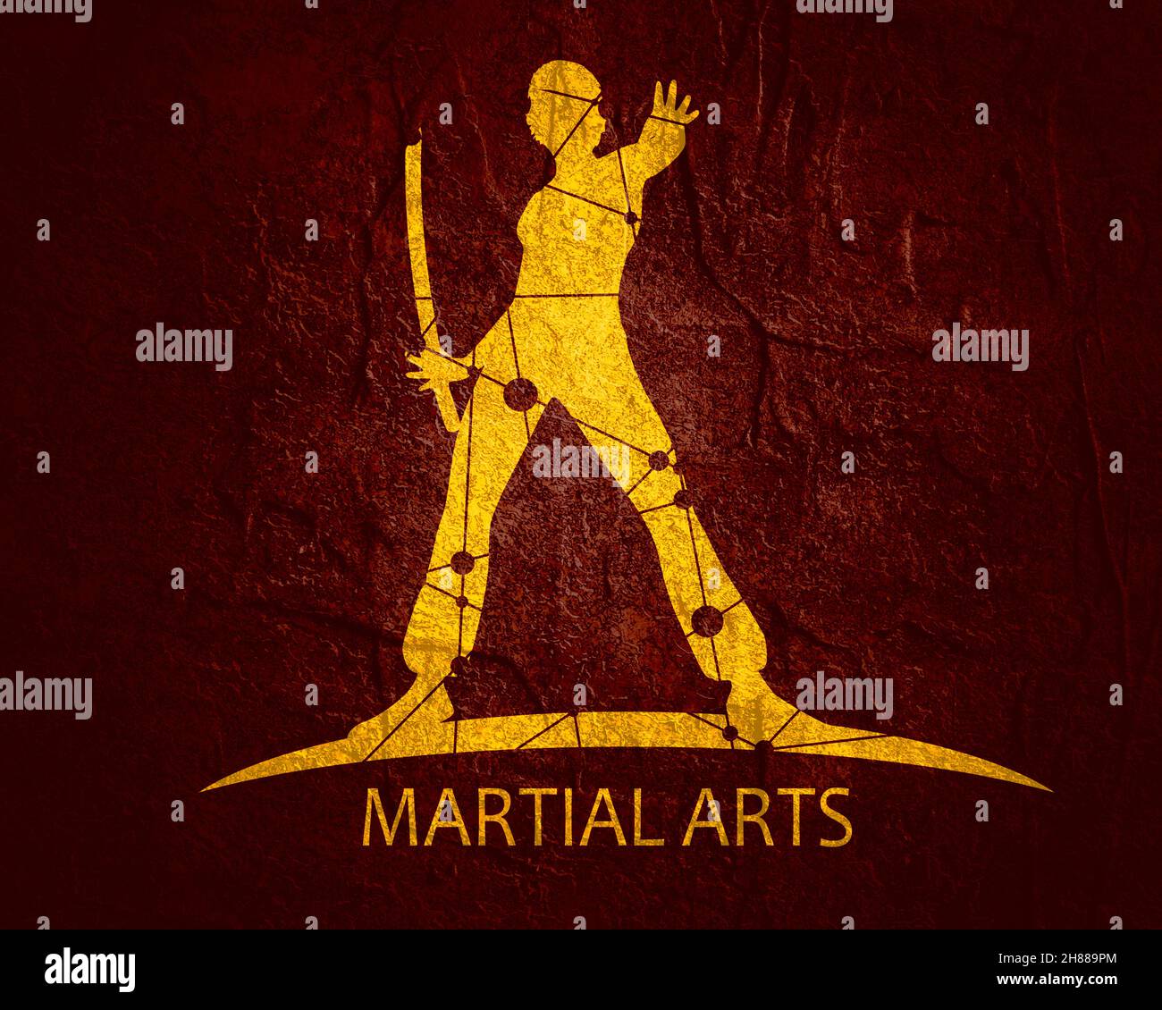 Martial art silhouette of woman in sword fight Kung Fu pose. Emblem for ...