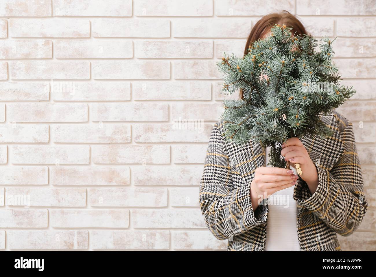 Woman holding fir tree branch on light brick wall background Stock ...