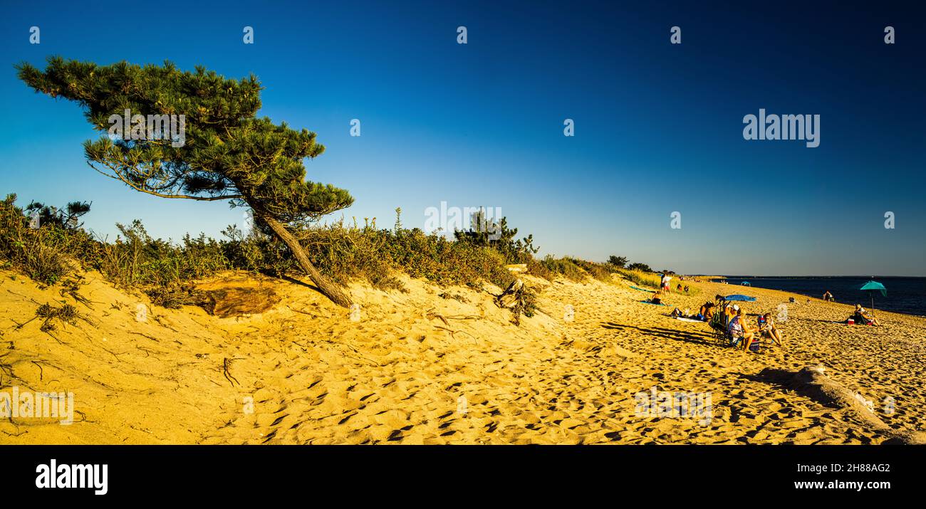 Hammonasset Beach State Park Madison, Connecticut, USA Stock Photo - Alamy