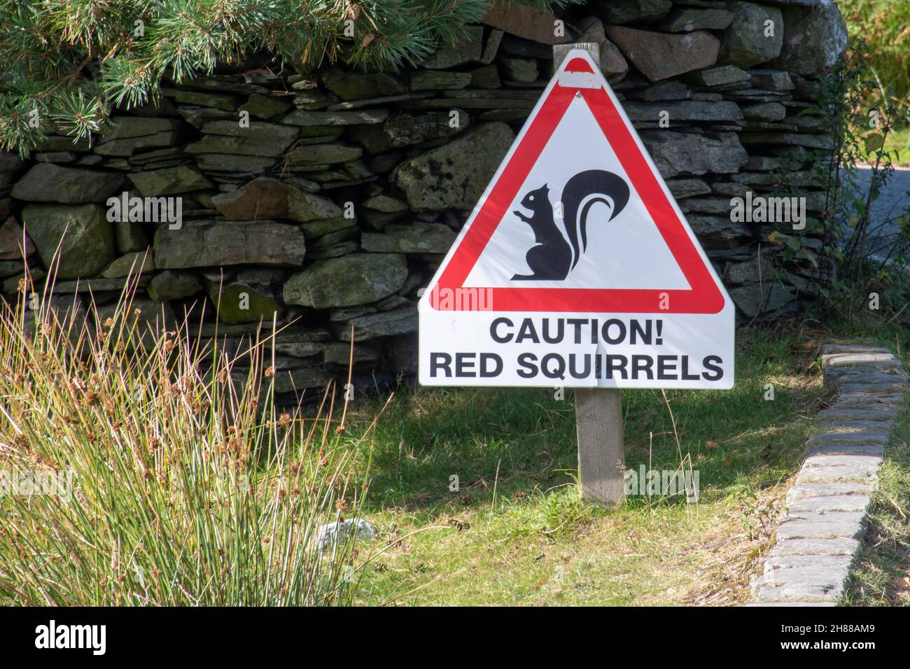 Red Squirrel Warning Sign High Resolution Stock Photography and Images ...