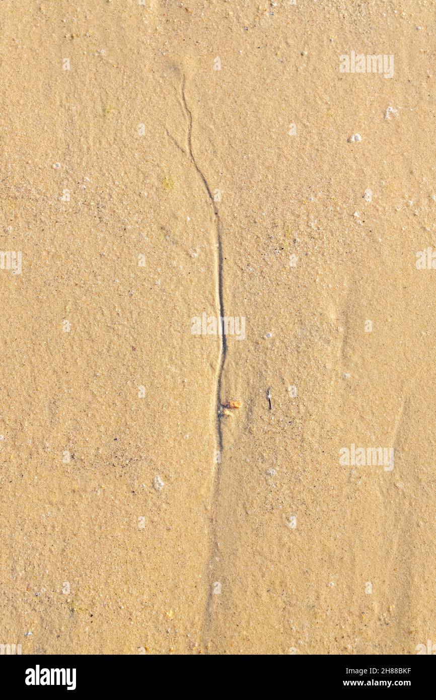 Small grains of sand on a beach, colorful background Stock Photo - Alamy