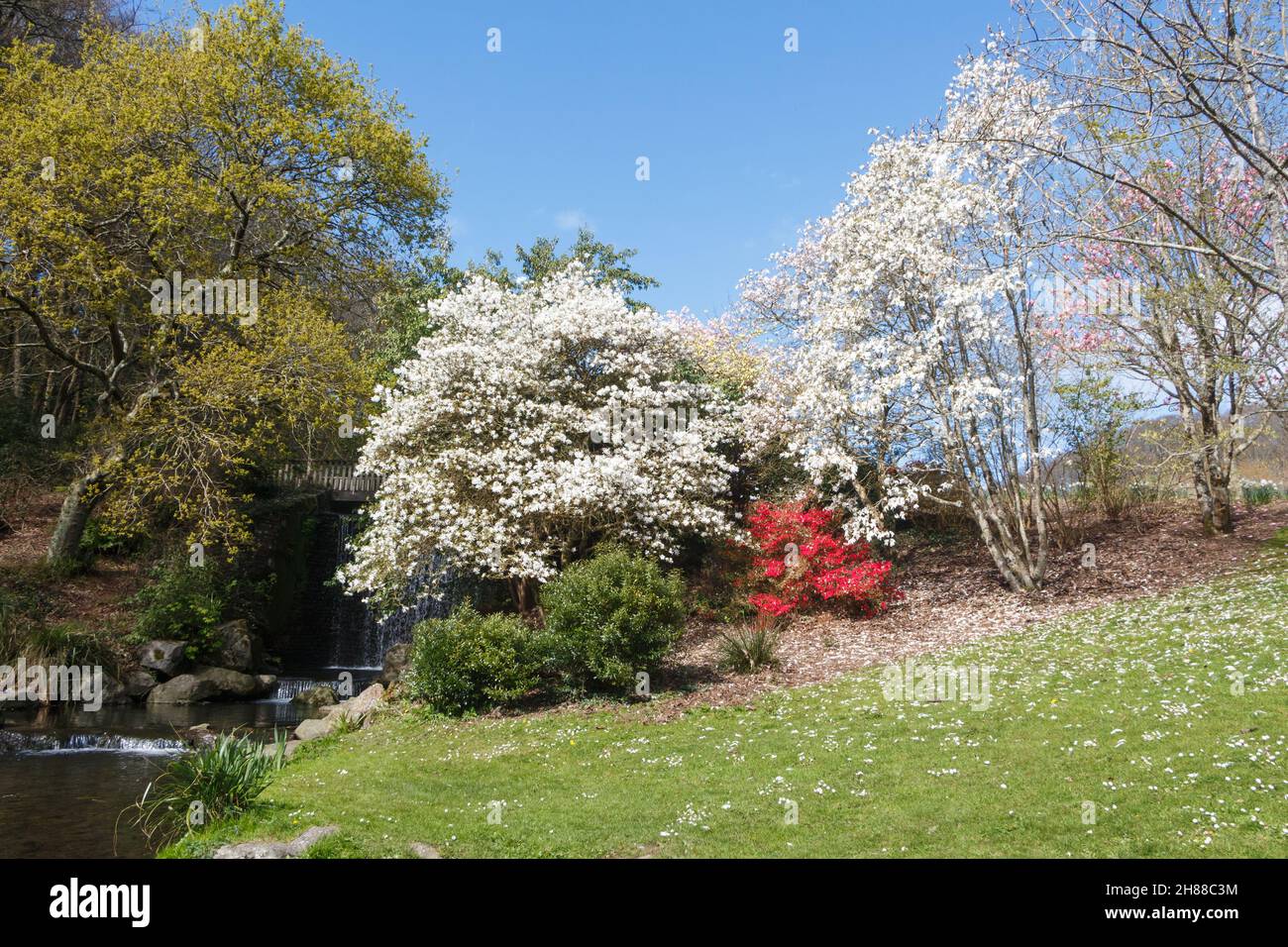 Park with river and waterfall during spring Stock Photo - Alamy