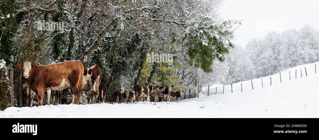 Sheltering from storm hi-res stock photography and images - Alamy