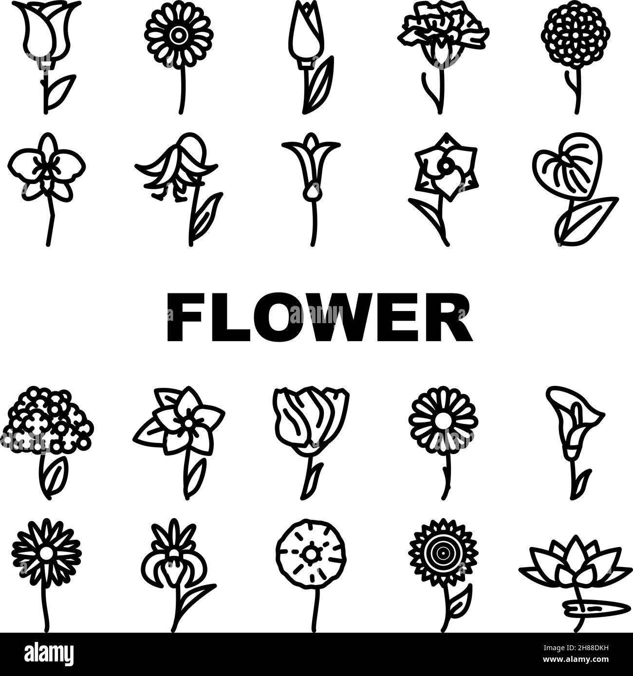 Flower Natural Aromatic Plant Icons Set Vector Stock Vector Image & Art ...
