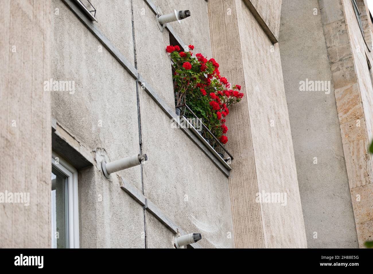 City window decorated with beautiful red geraniums flowers Stock Photo ...