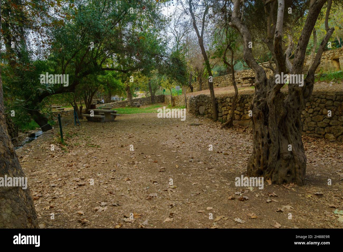 View of a Picnic area with trees, fall foliage, and the Kesalon Stream ...