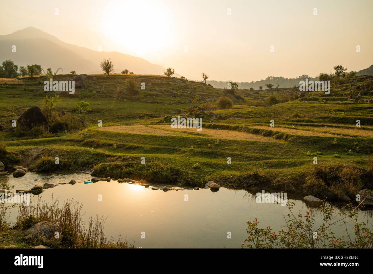 Palampur himachal pradesh hi-res stock photography and images - Alamy