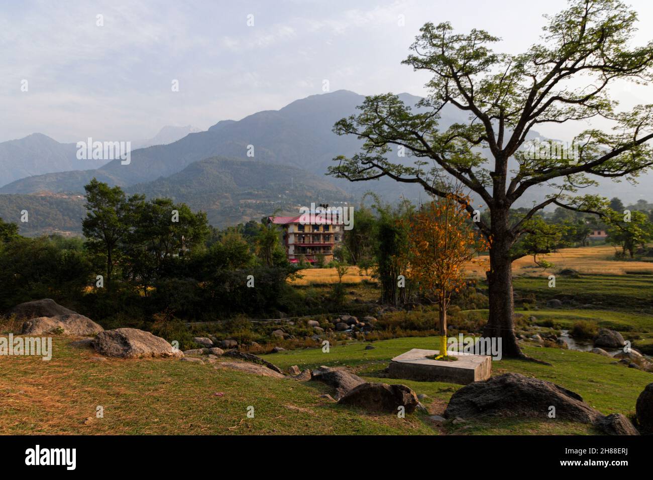 Various views of Palampur, Himachal Stock Photo - Alamy