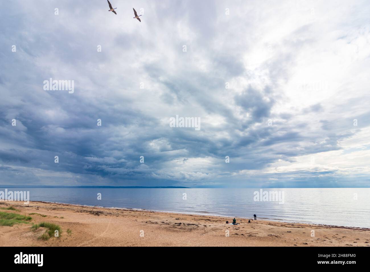Halmstad: Laholmsbukten (Laholm Bay) at Kattegat sea area, beach, sand ...