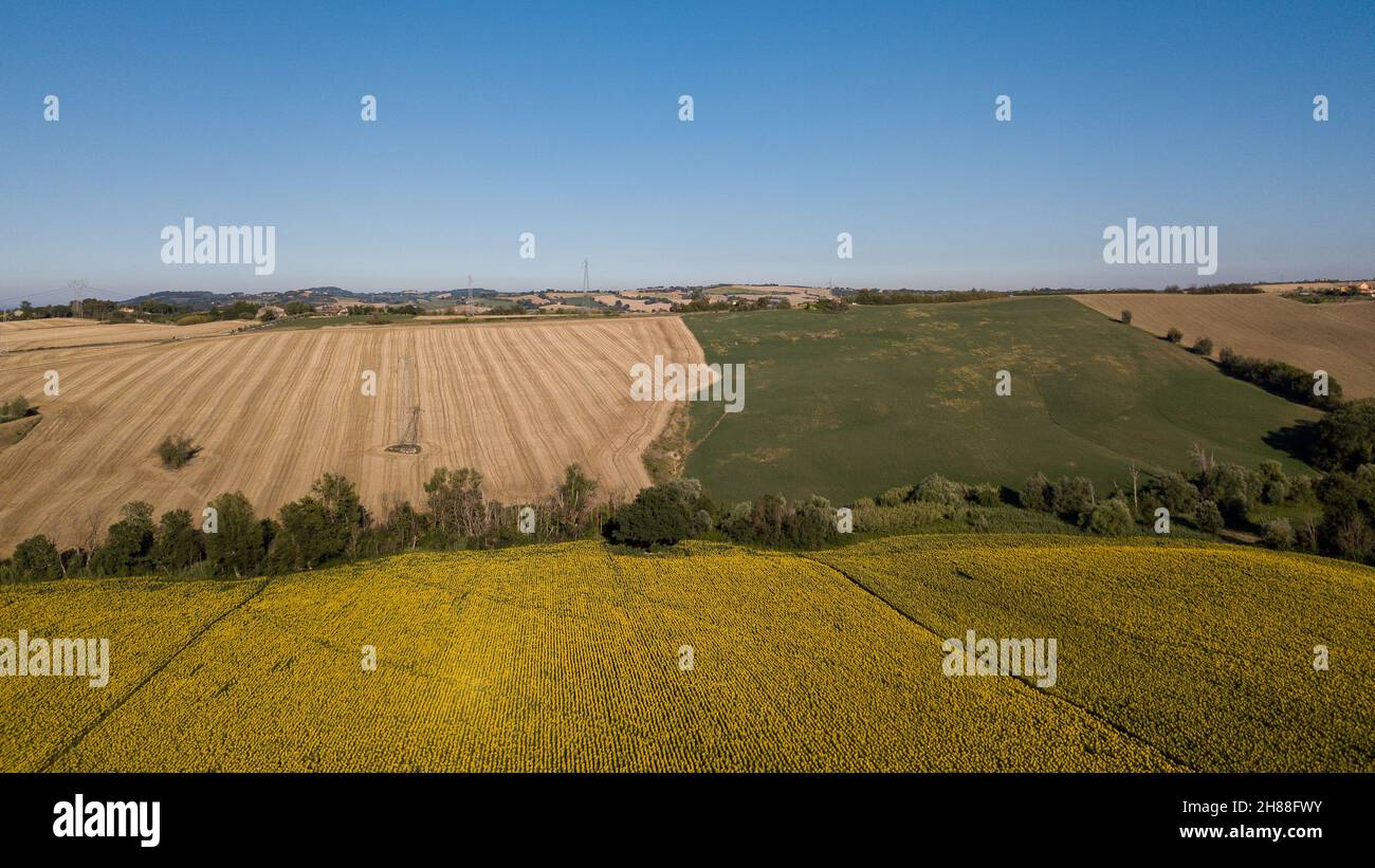 A beautiful view of a great landscape of a big green land under a clear ...