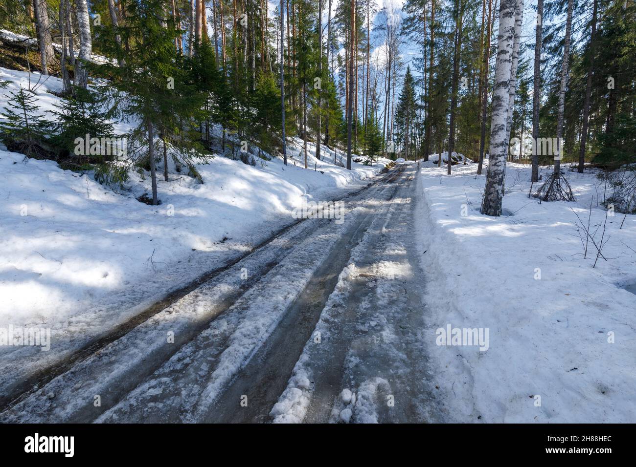 Slushy wet forest road at Spring , Finland Stock Photo - Alamy