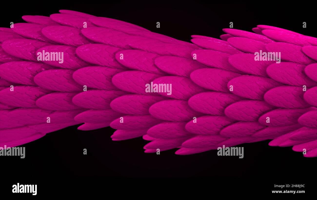 Snake pattern on 3d loop hi-res stock photography and images - Alamy