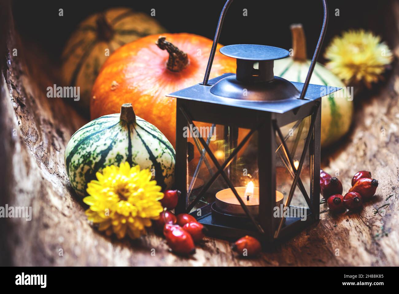 Still life of lantern hi-res stock photography and images - Alamy